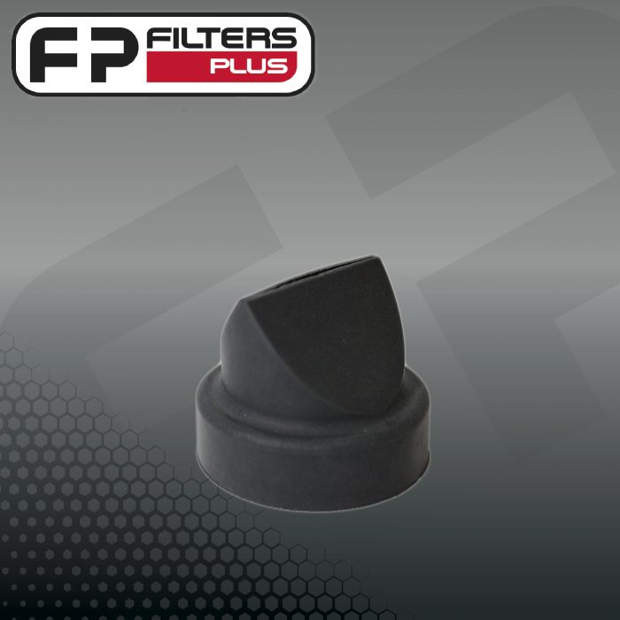 P522958 - Filters Plus WA