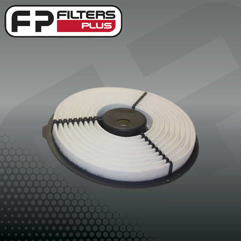 WA807 - Filters Plus WA