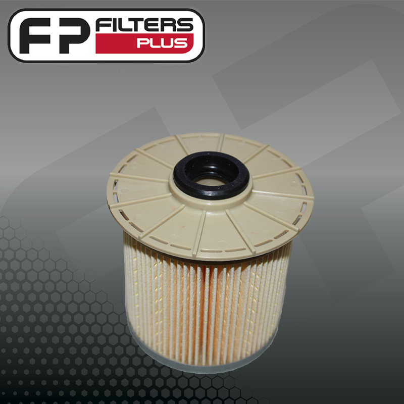 WCF242 - Filters Plus WA