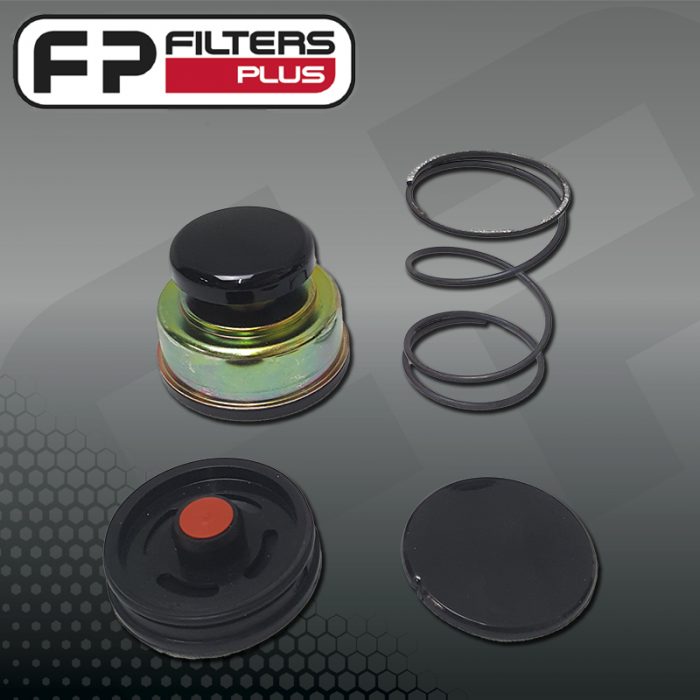 29578 - Filters Plus WA