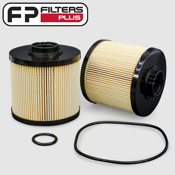 P502378 - Filters Plus WA