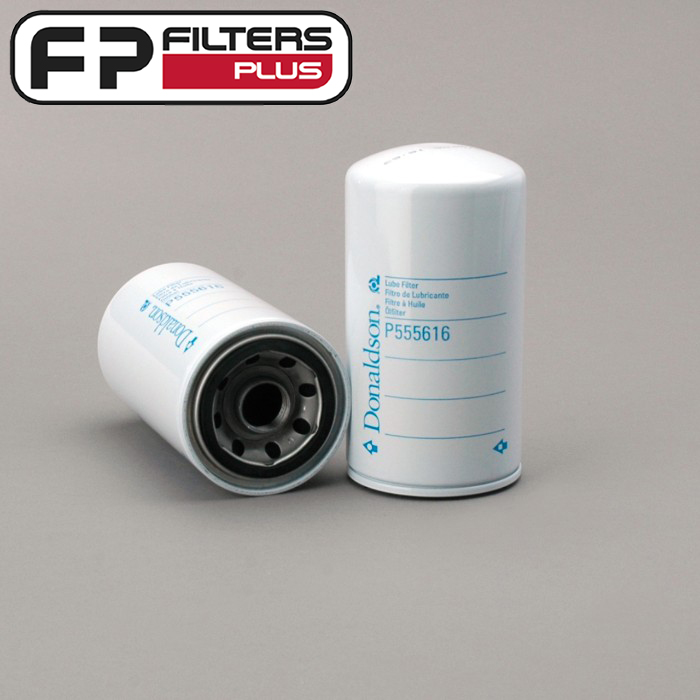 P555616 - Filters Plus WA